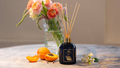 Reed Diffusers – TOCCA