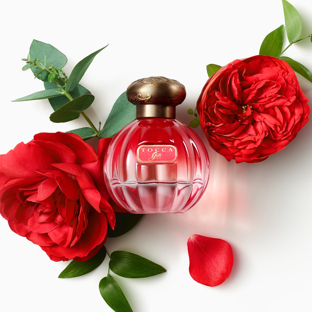 Gia – TOCCA